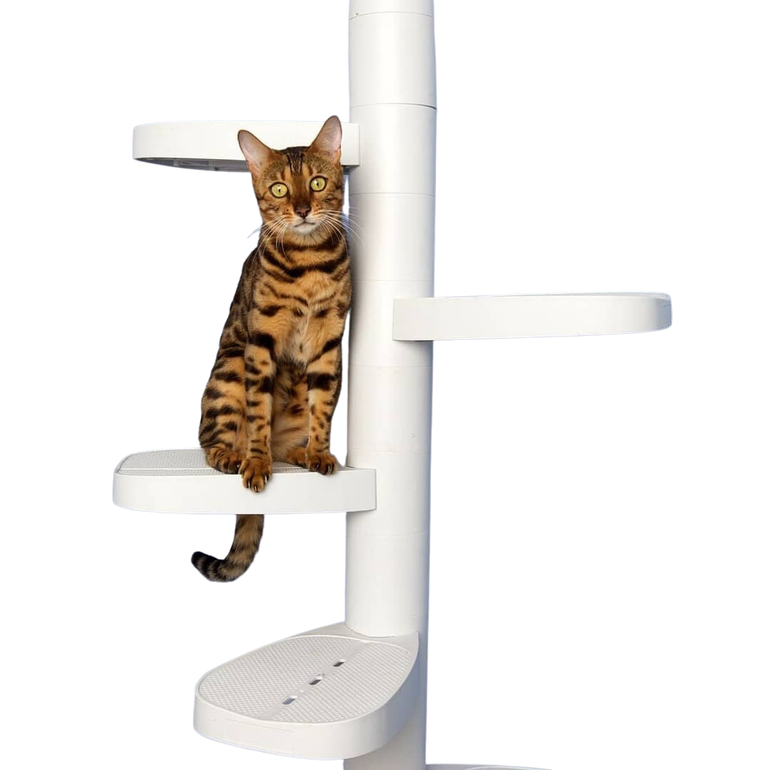 Modular Cat Tree | The Scalable Cat Tree | Monkee Tree