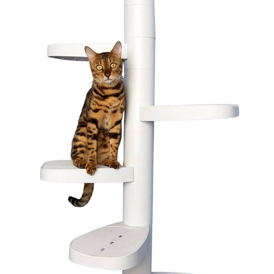 Modular Cat Tree | The Scalable Cat Tree | Monkee Tree