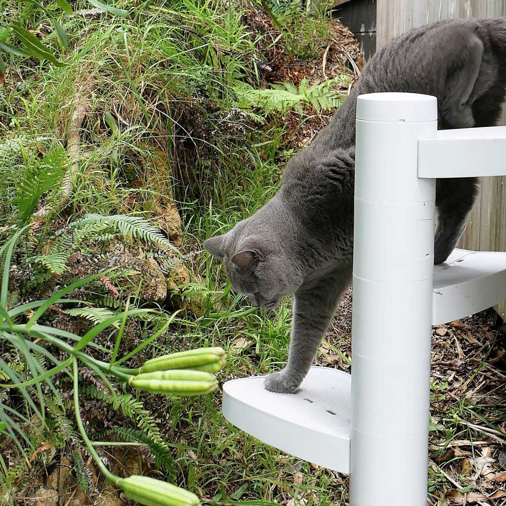 Modular Cat Tree | The Scalable Cat Tree | Monkee Tree
